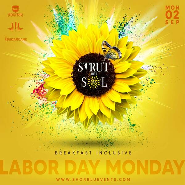 Island E-Tickets • STRUT INTO SOL 2024